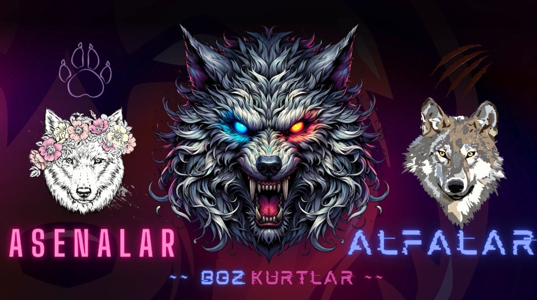 ZARARINA HESAP ALANA HO - 255627 | Misali2Satış